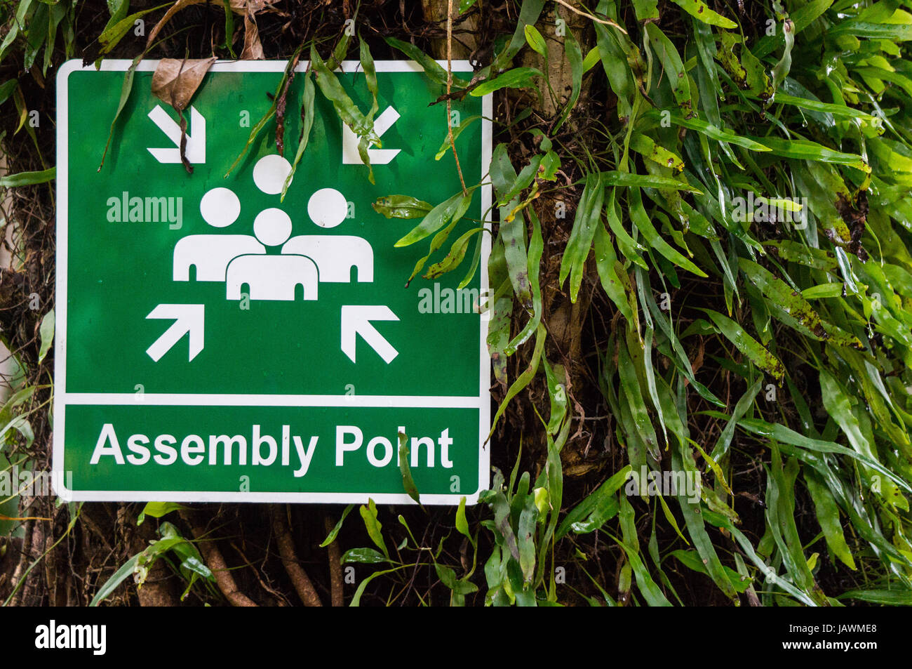 Assembly point hi-res stock photography and images - Alamy