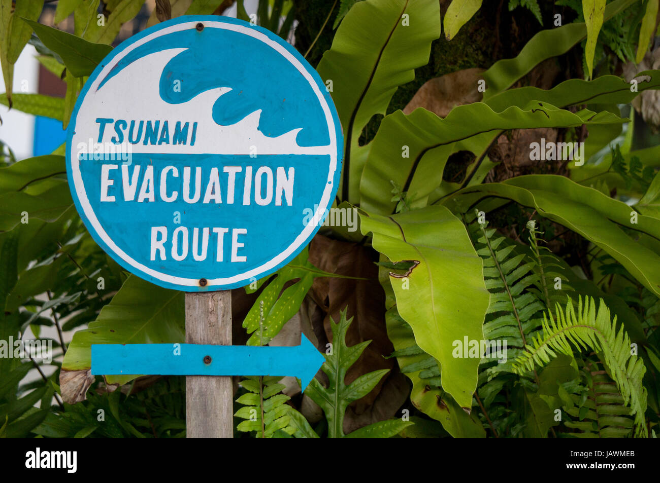 Tsunami evacuation route sign hi-res stock photography and images - Alamy