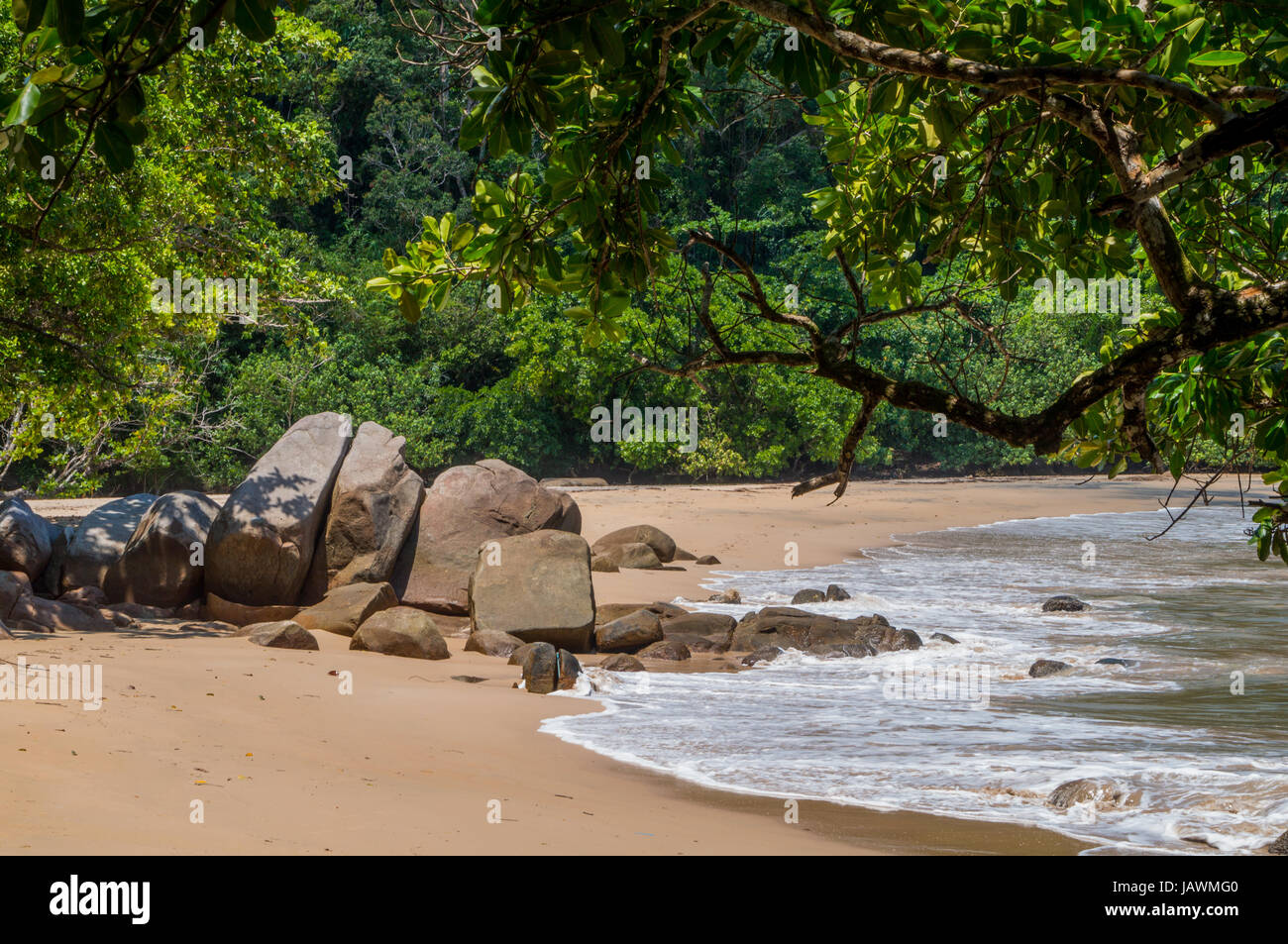 Beautiful beach in the middle of the jungle Stock Photo - Alamy