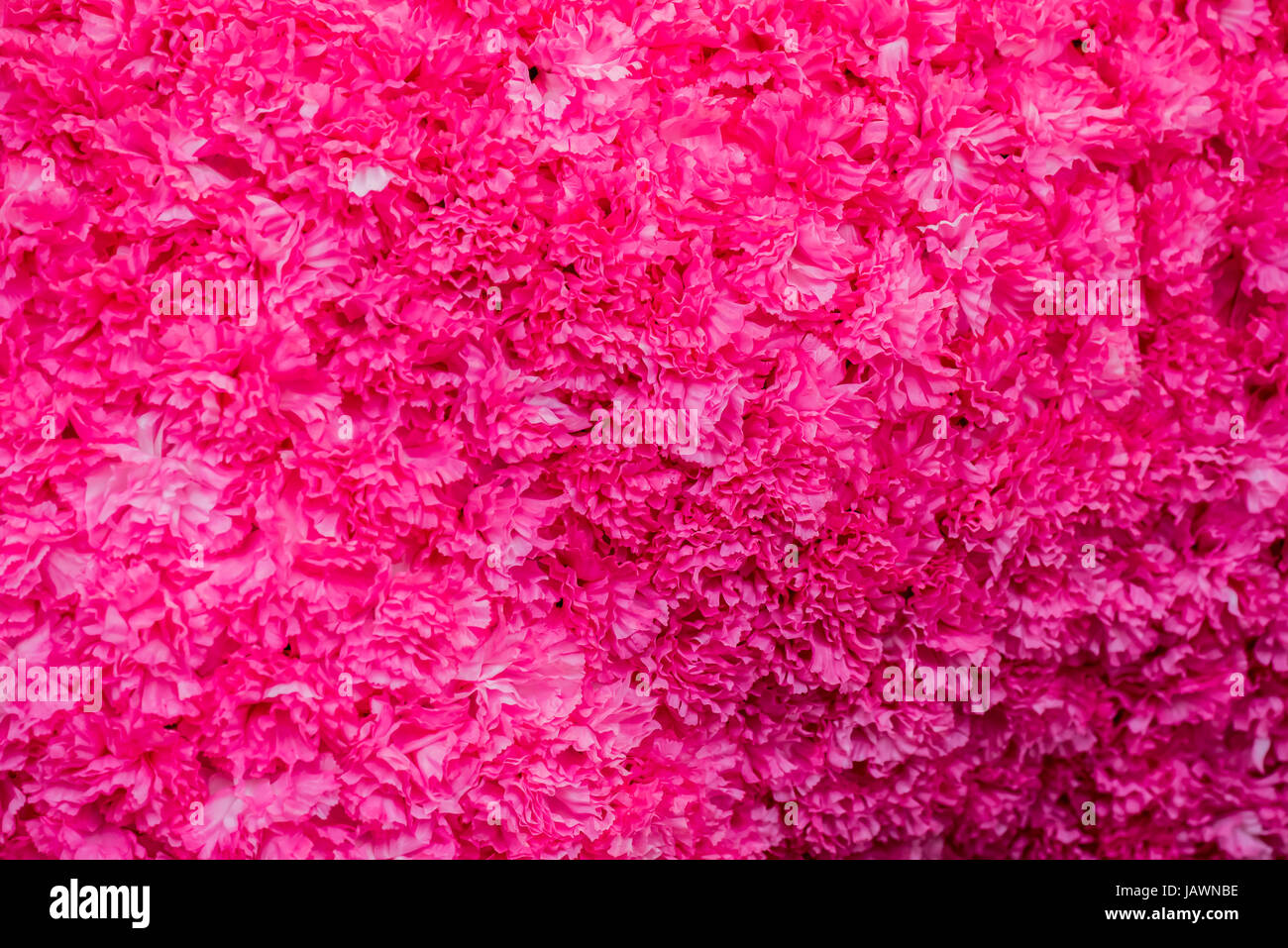 pink flower pattern and background texture Stock Photo - Alamy