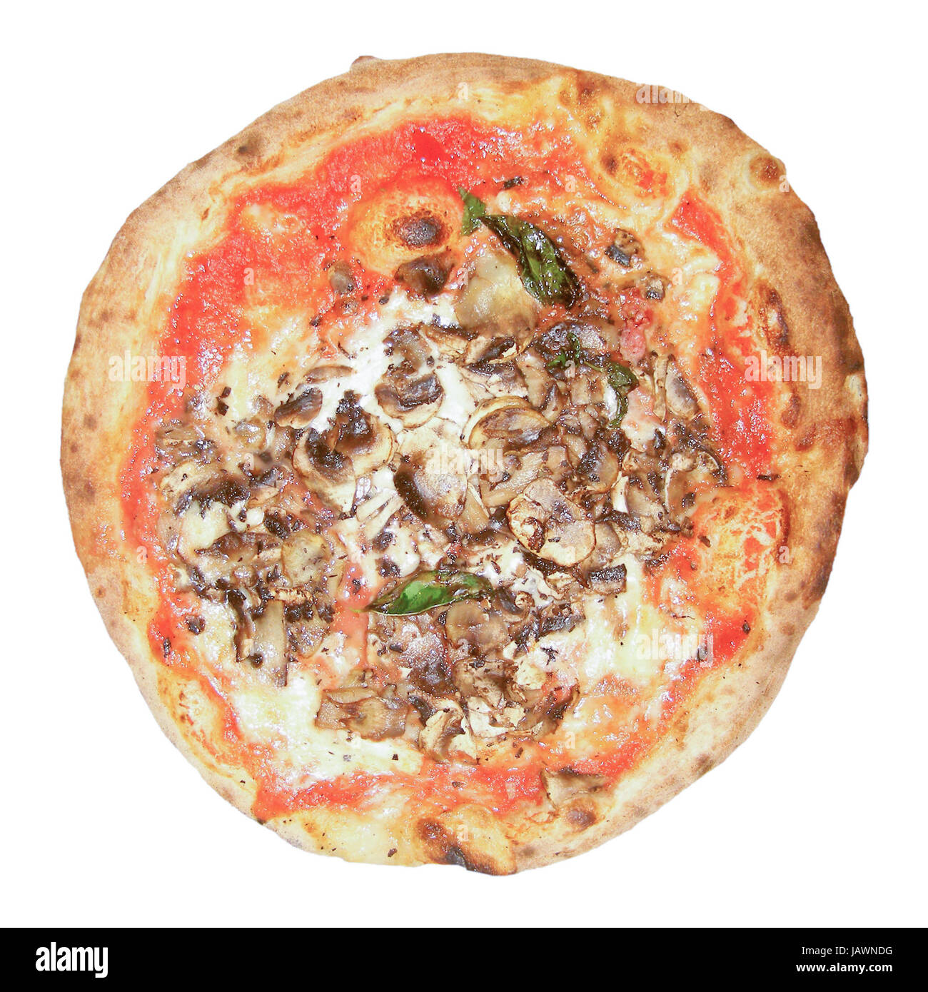 Italian Funghi mushroom pizza traditional food from Italy Stock Photo ...