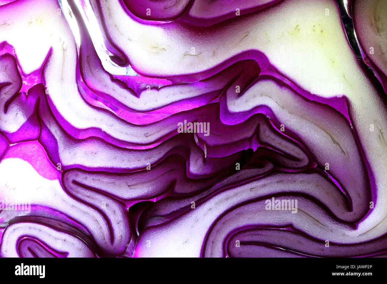 red cabbage slice-rayed Stock Photo - Alamy