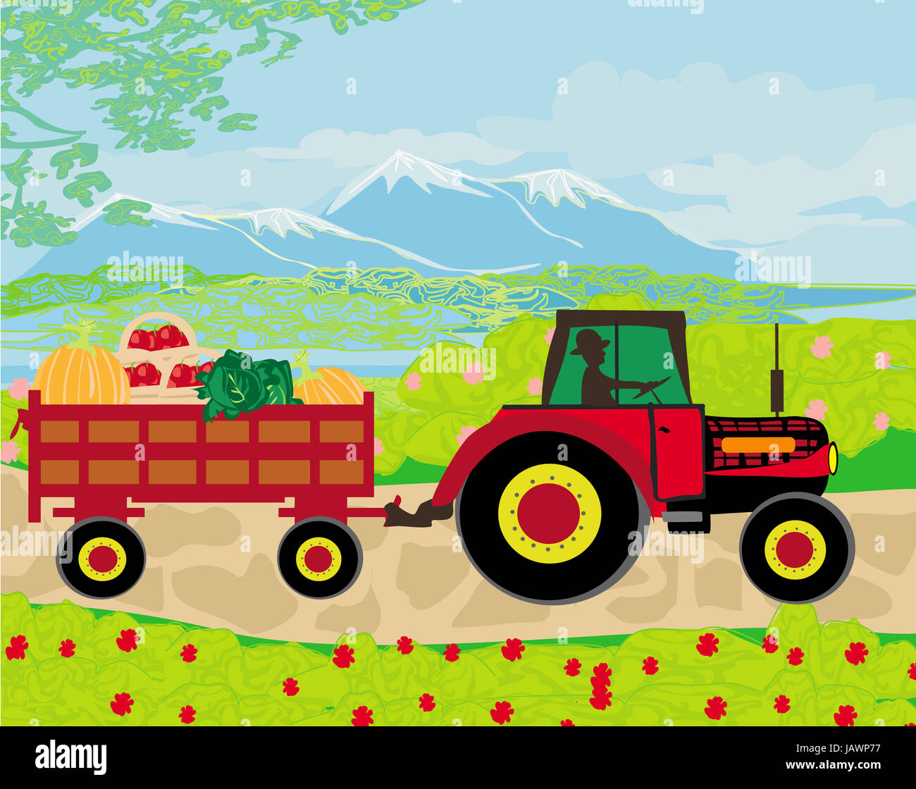 man driving a tractor with a trailer full of vegetables Stock Photo - Alamy
