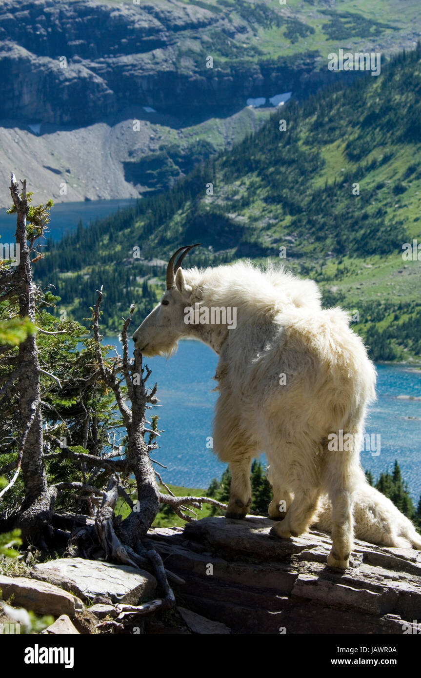 Montagna madre hi-res stock photography and images - Alamy