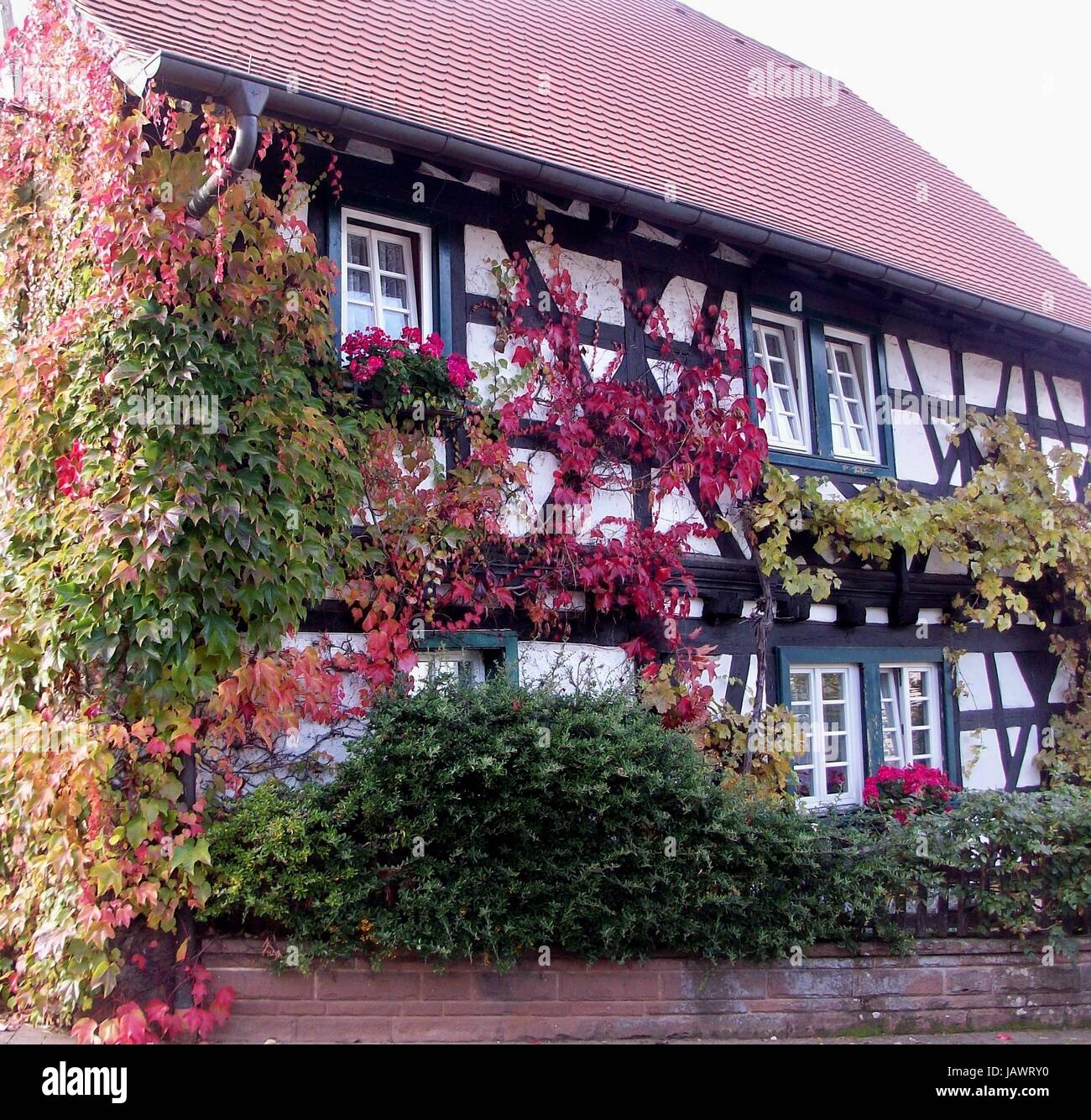 Twiners hi-res stock photography and images - Alamy