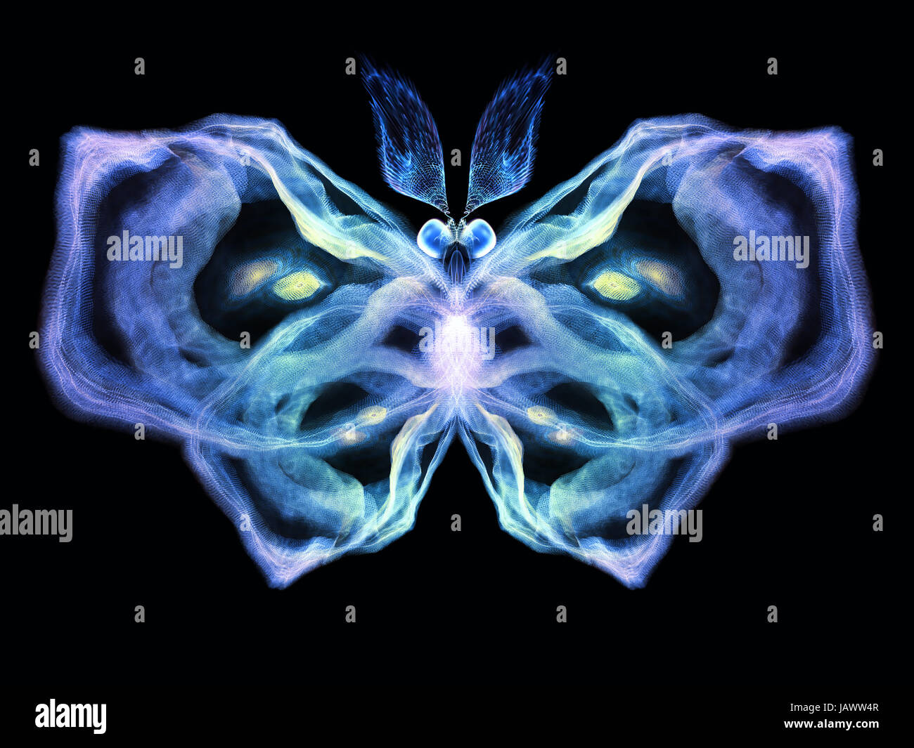 Never Were Butterflies series. Creative arrangement of isolated ...