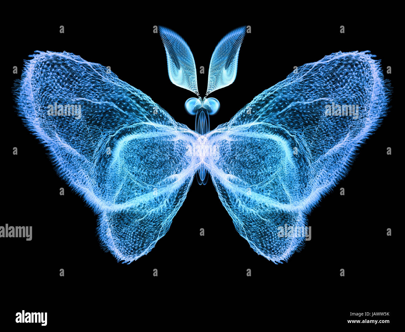 Never Were Butterflies series. Creative arrangement of isolated ...