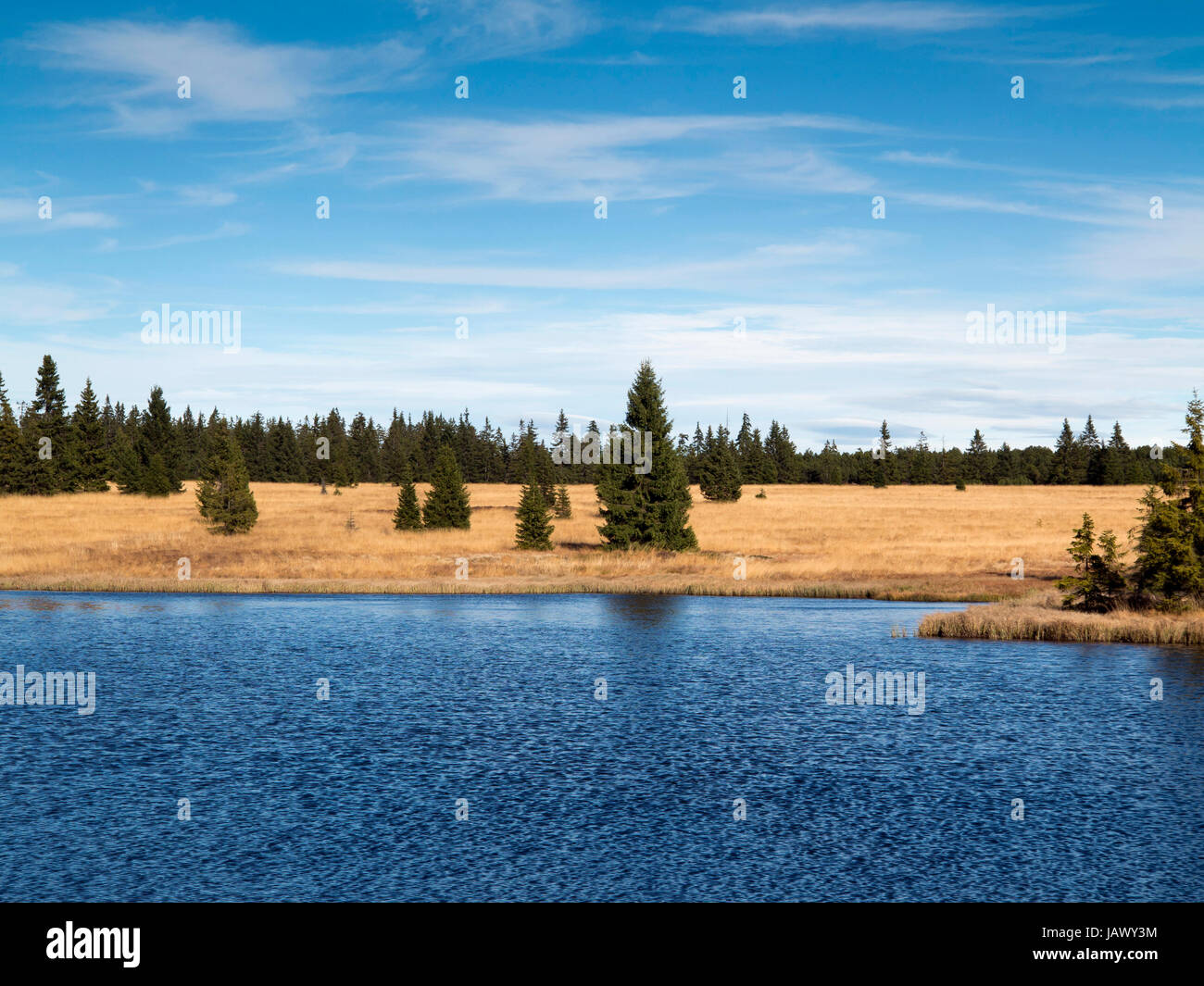 Dead pond is surrounded by woods approximately three kilometers ...