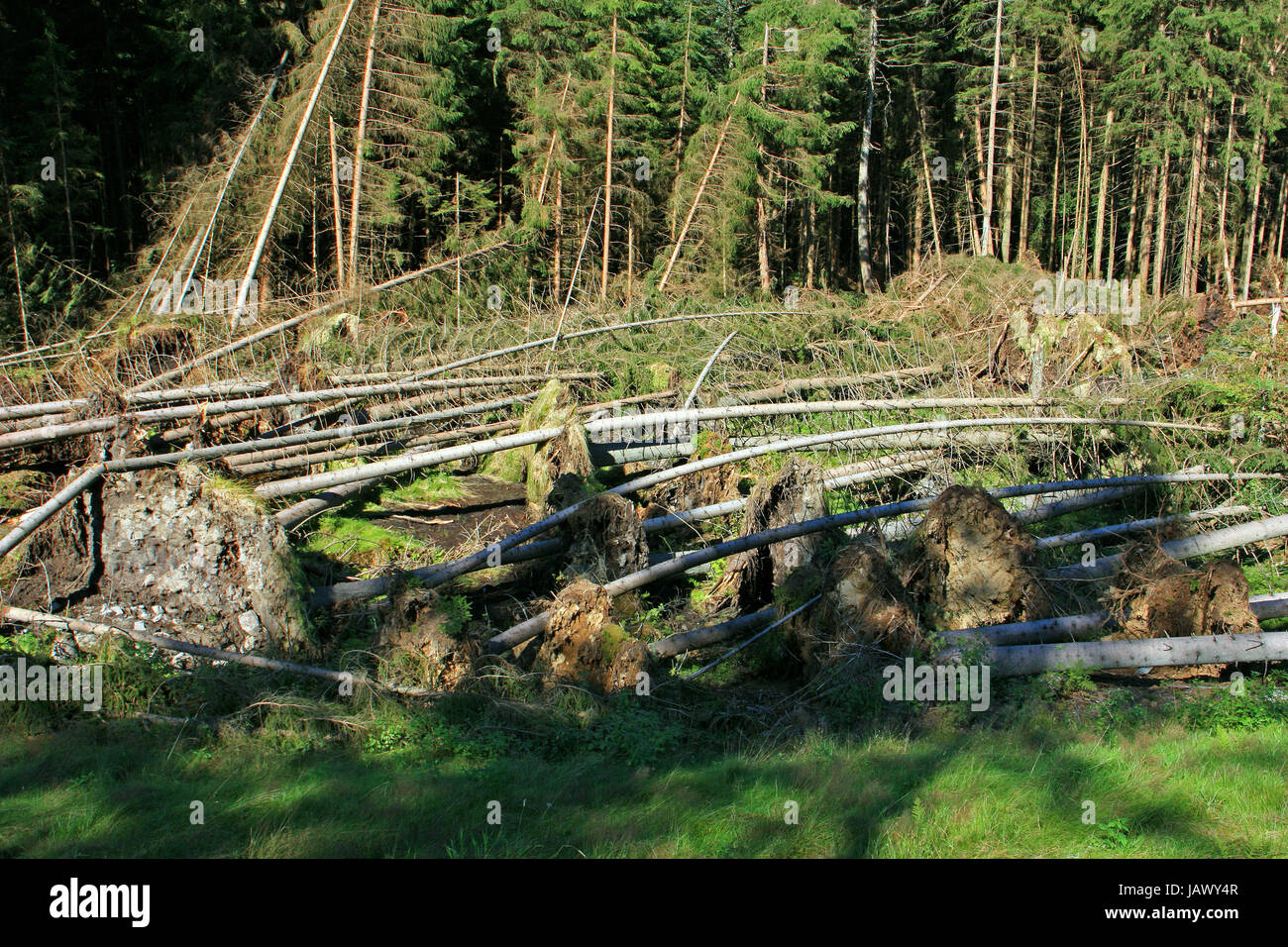 go hiking ramble Stock Photo - Alamy
