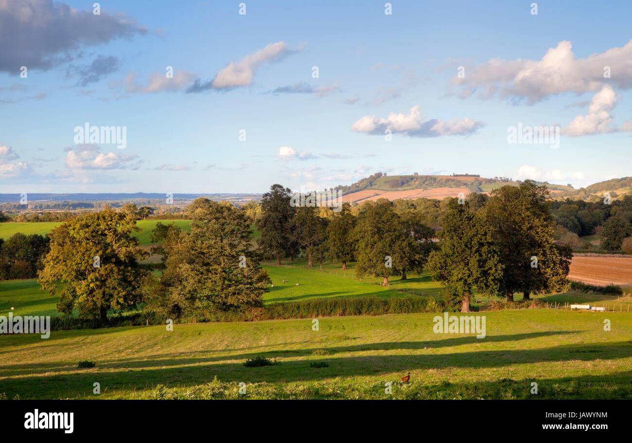 Looking past the spire at Mickleton towards Meon Hill on a spring ...