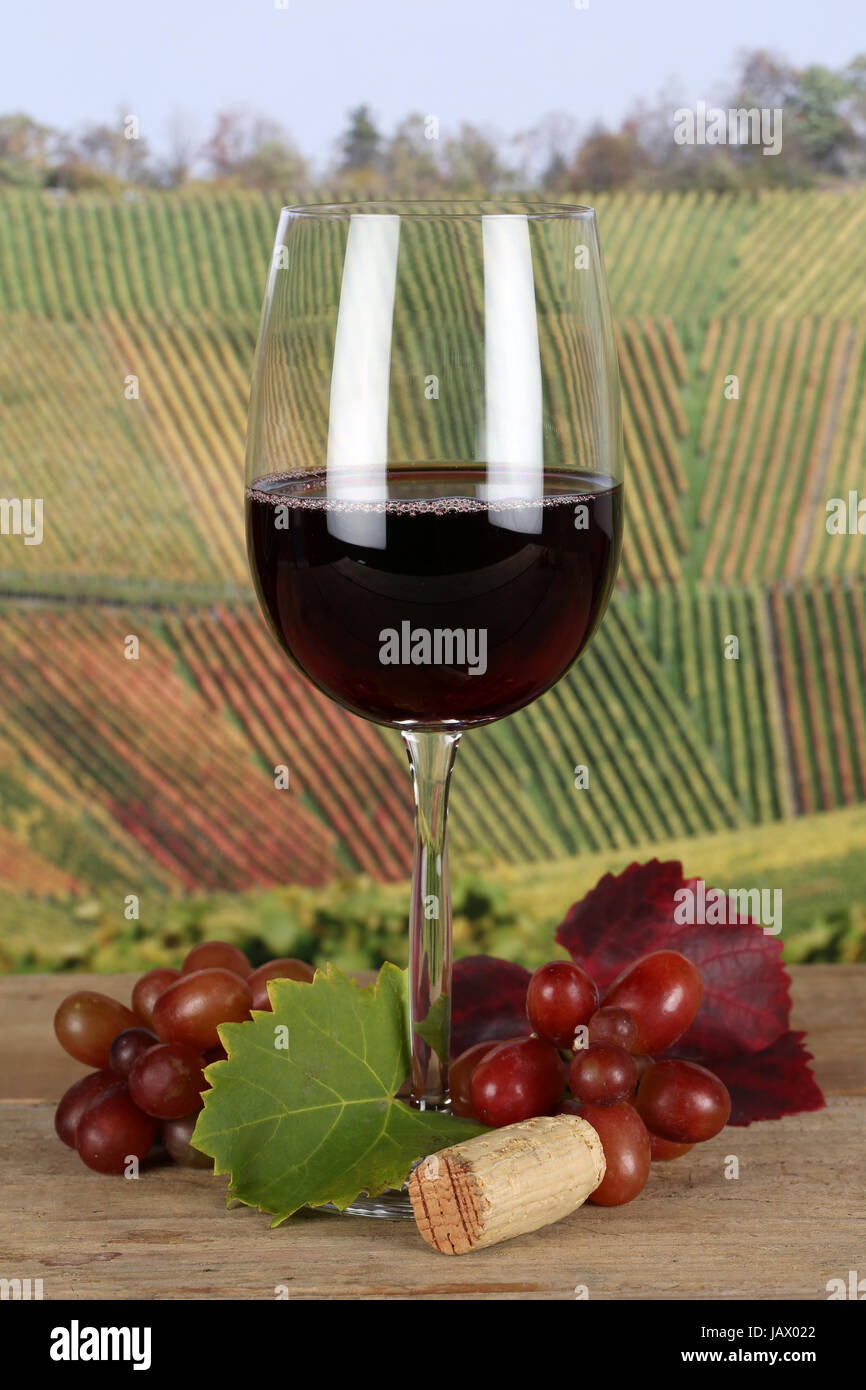 Rotwein in einem Weinglas in den Weinbergen mit Weintrauben Stock Photo ...