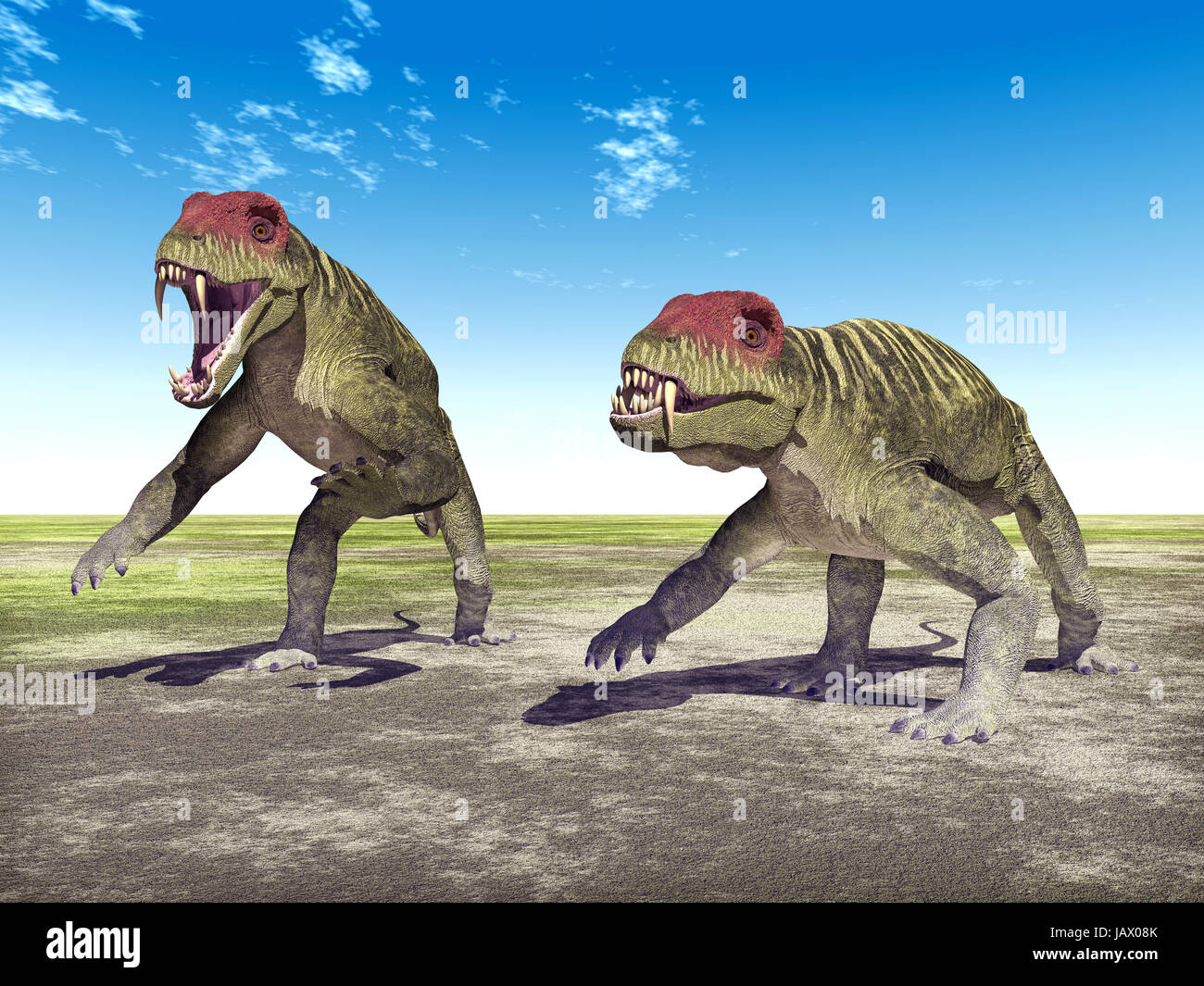 Doliosauriscus hi-res stock photography and images - Alamy