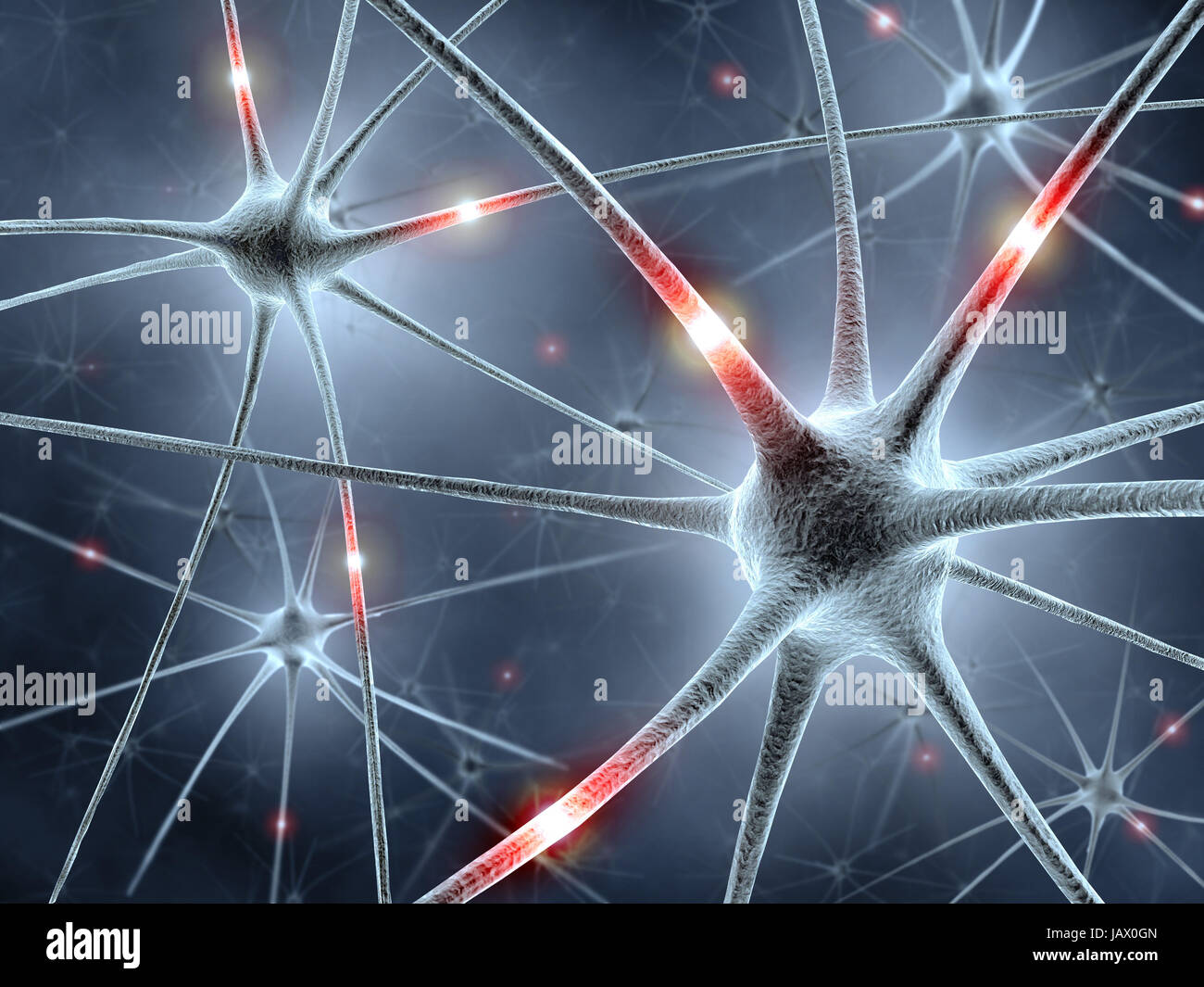 Image concept of a network of neurons in the human brain Stock Photo ...