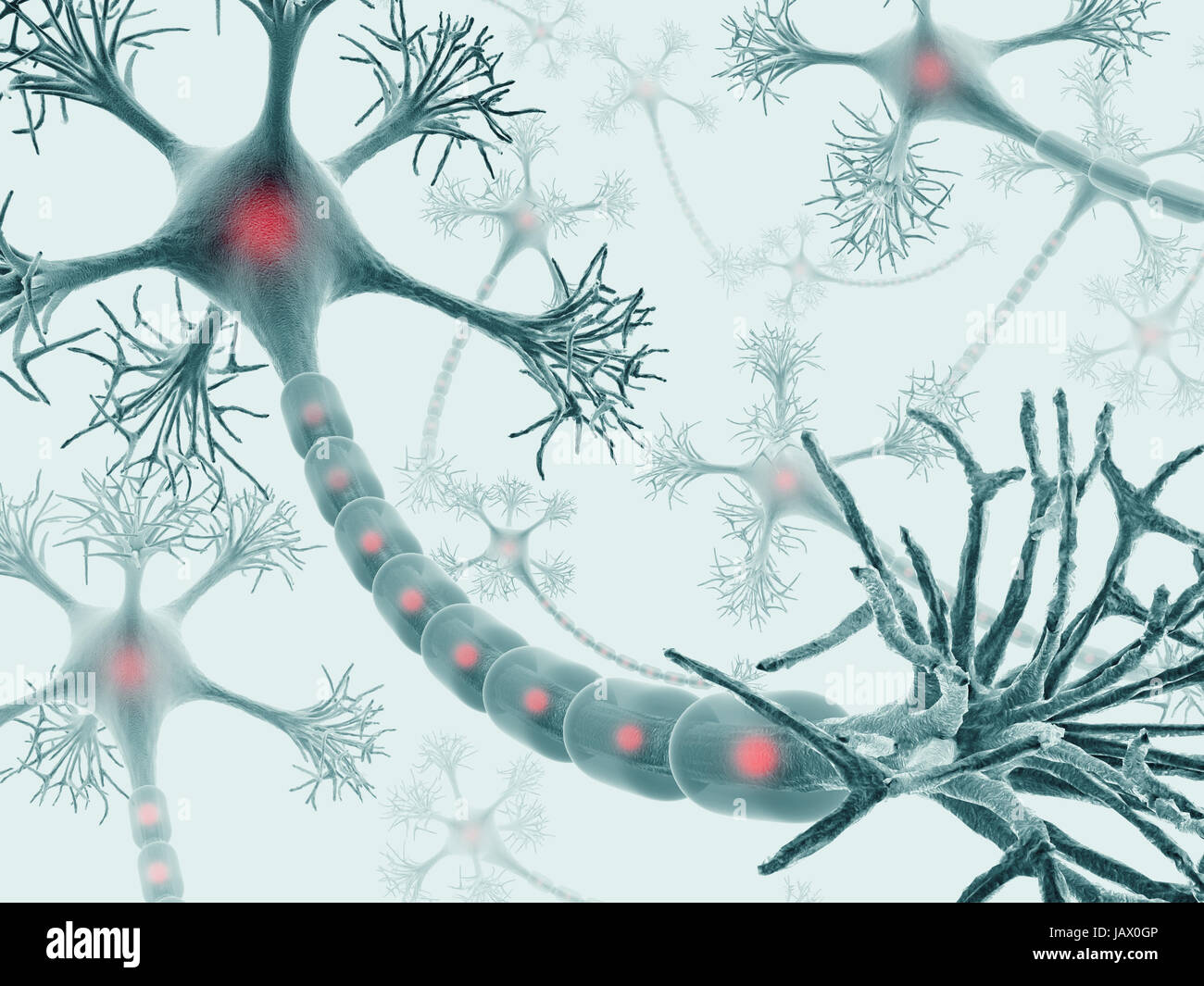 Image concept of a network of neurons in the human brain Stock Photo ...