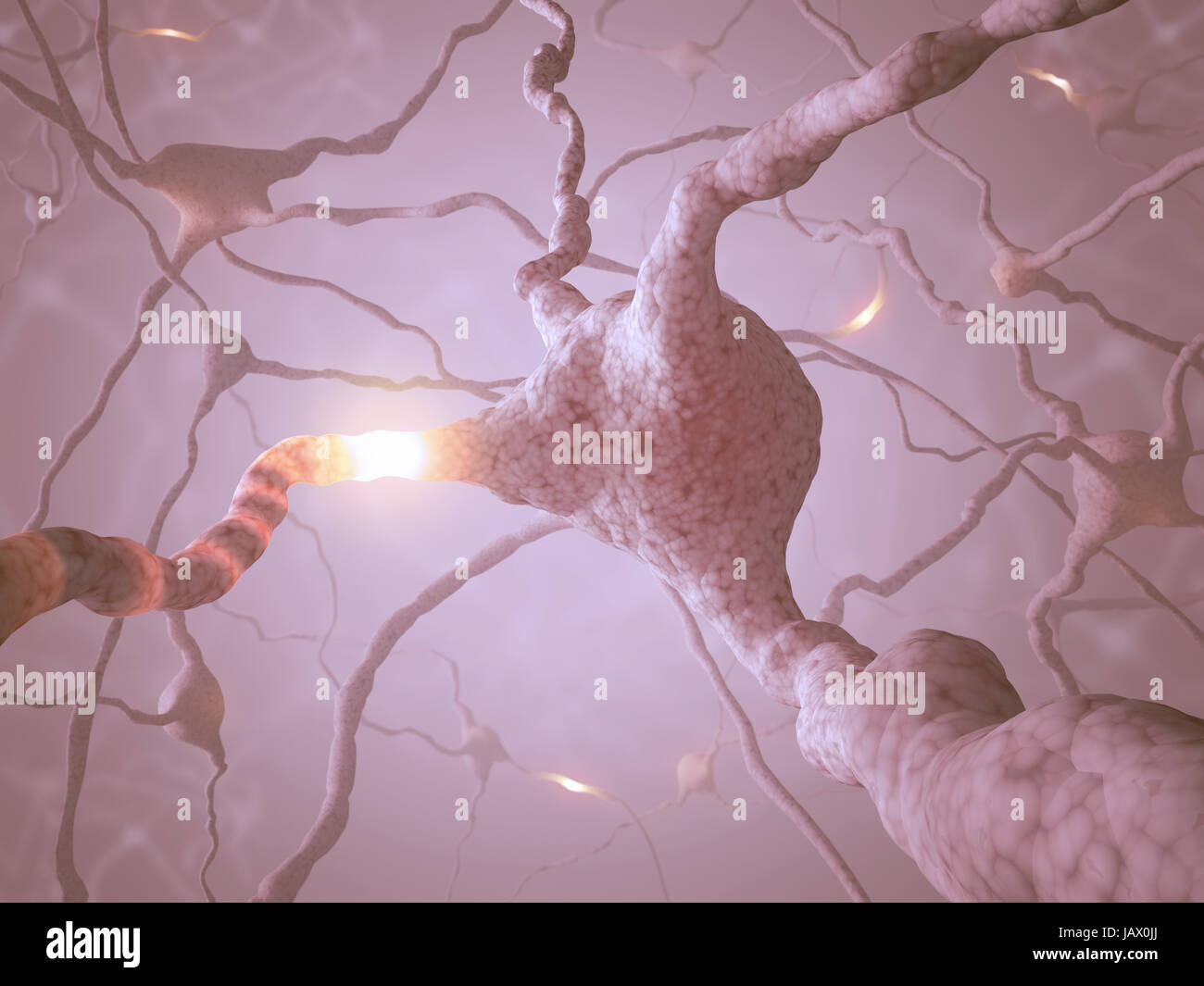 Inside the brain. Concept of neurons and nervous system Stock Photo - Alamy