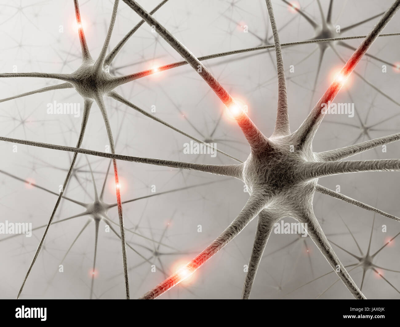Image concept of a network of neurons in the human brain Stock Photo ...