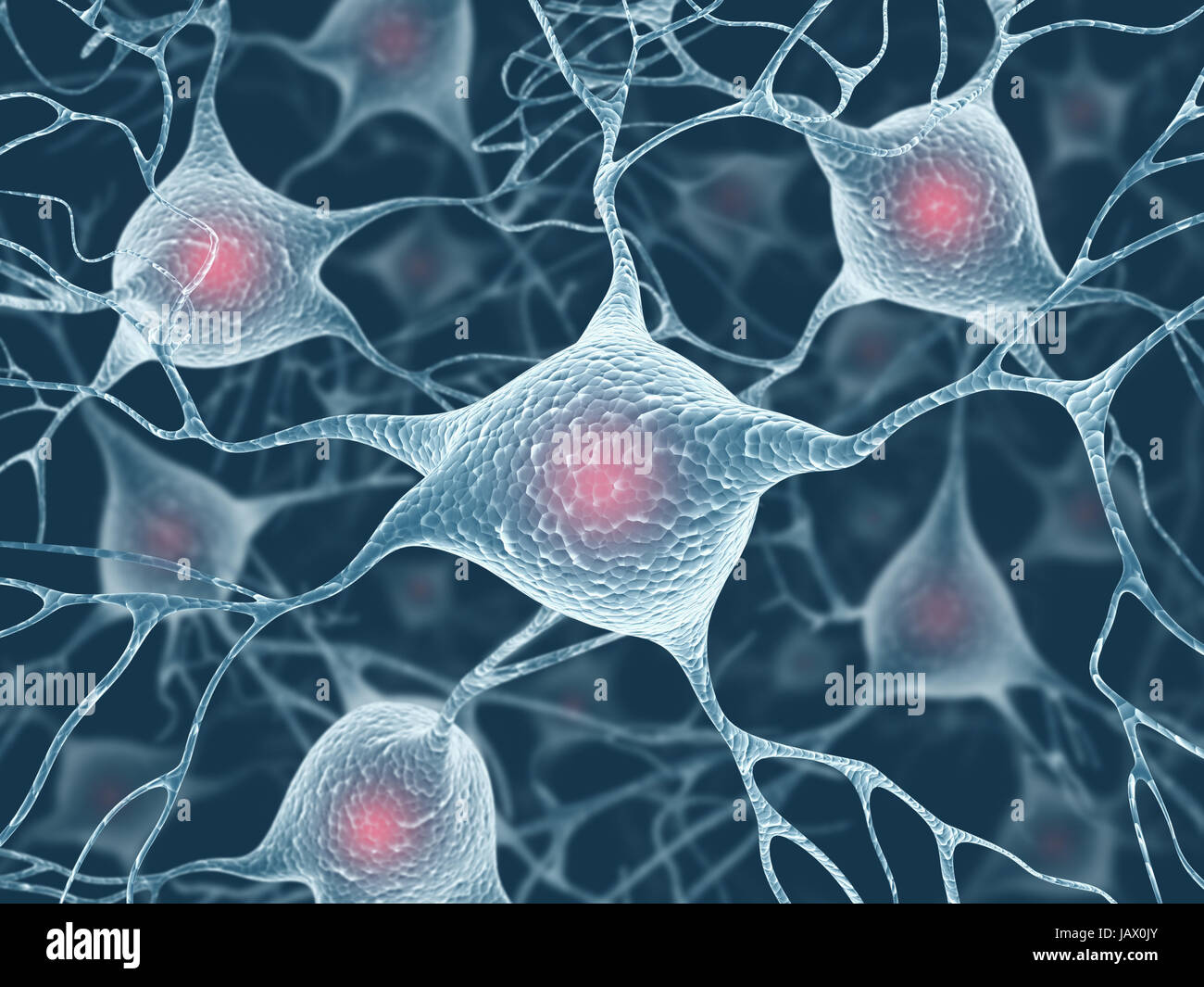 Image concept of a network of neurons in the human brain Stock Photo ...