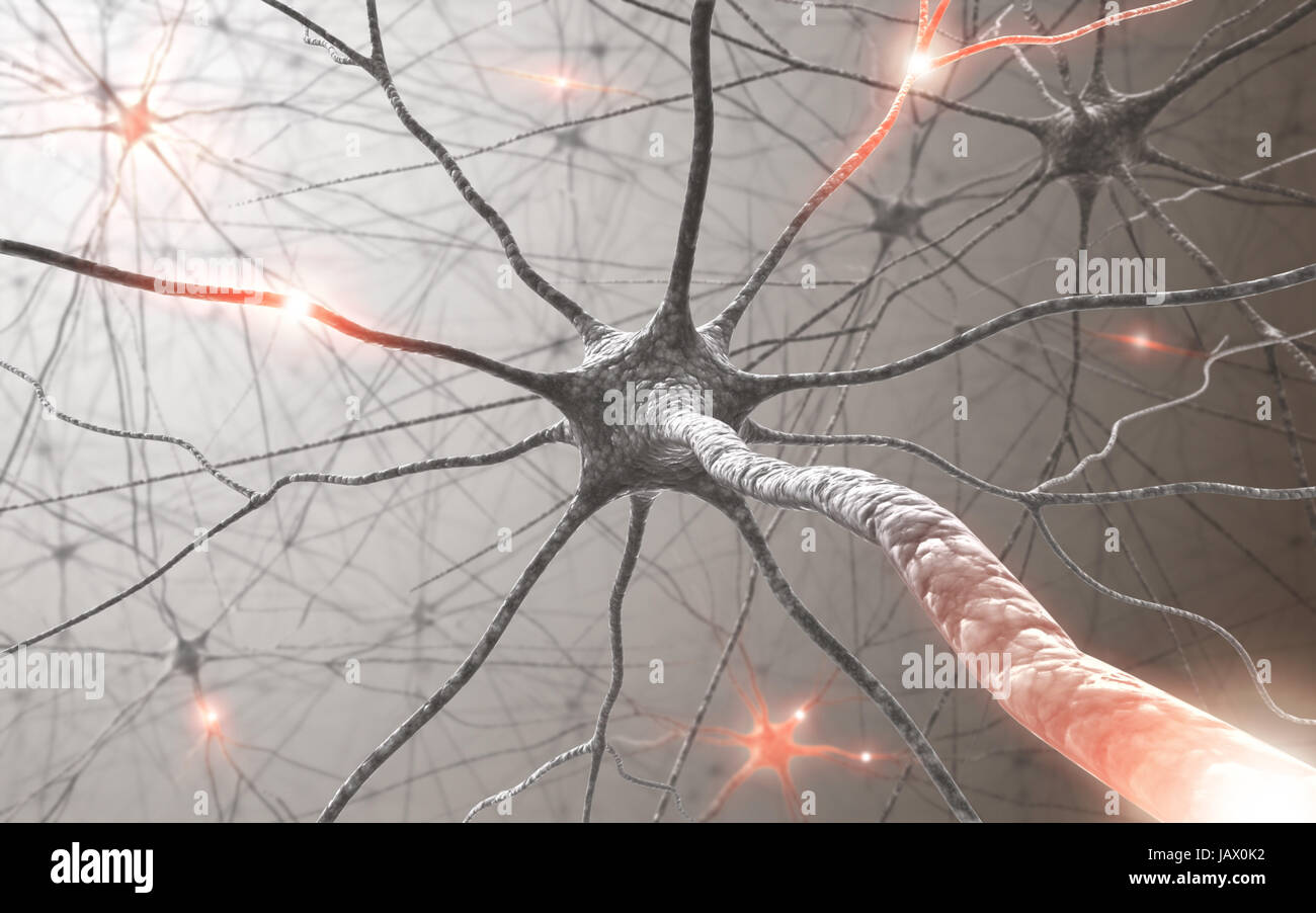 Inside the brain. Concept of neurons and nervous system Stock Photo - Alamy