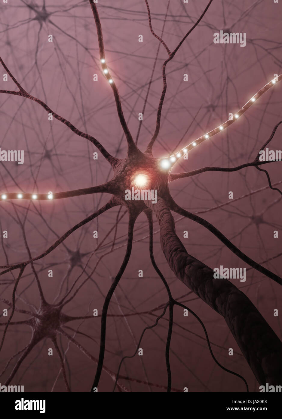 Inside the brain. Concept of neurons and nervous system Stock Photo - Alamy