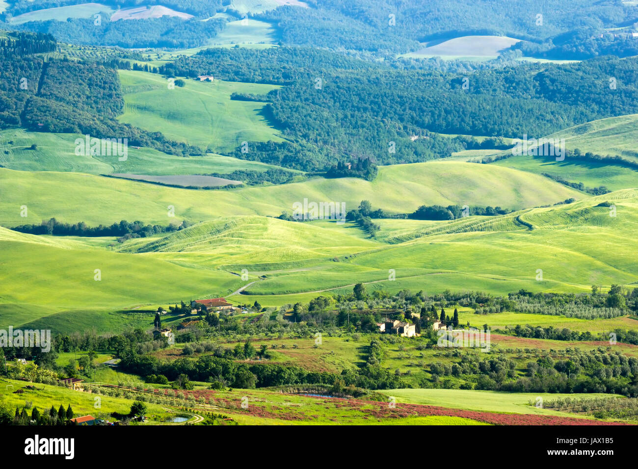 Green typical tuscan landscape in spring time Stock Photo - Alamy