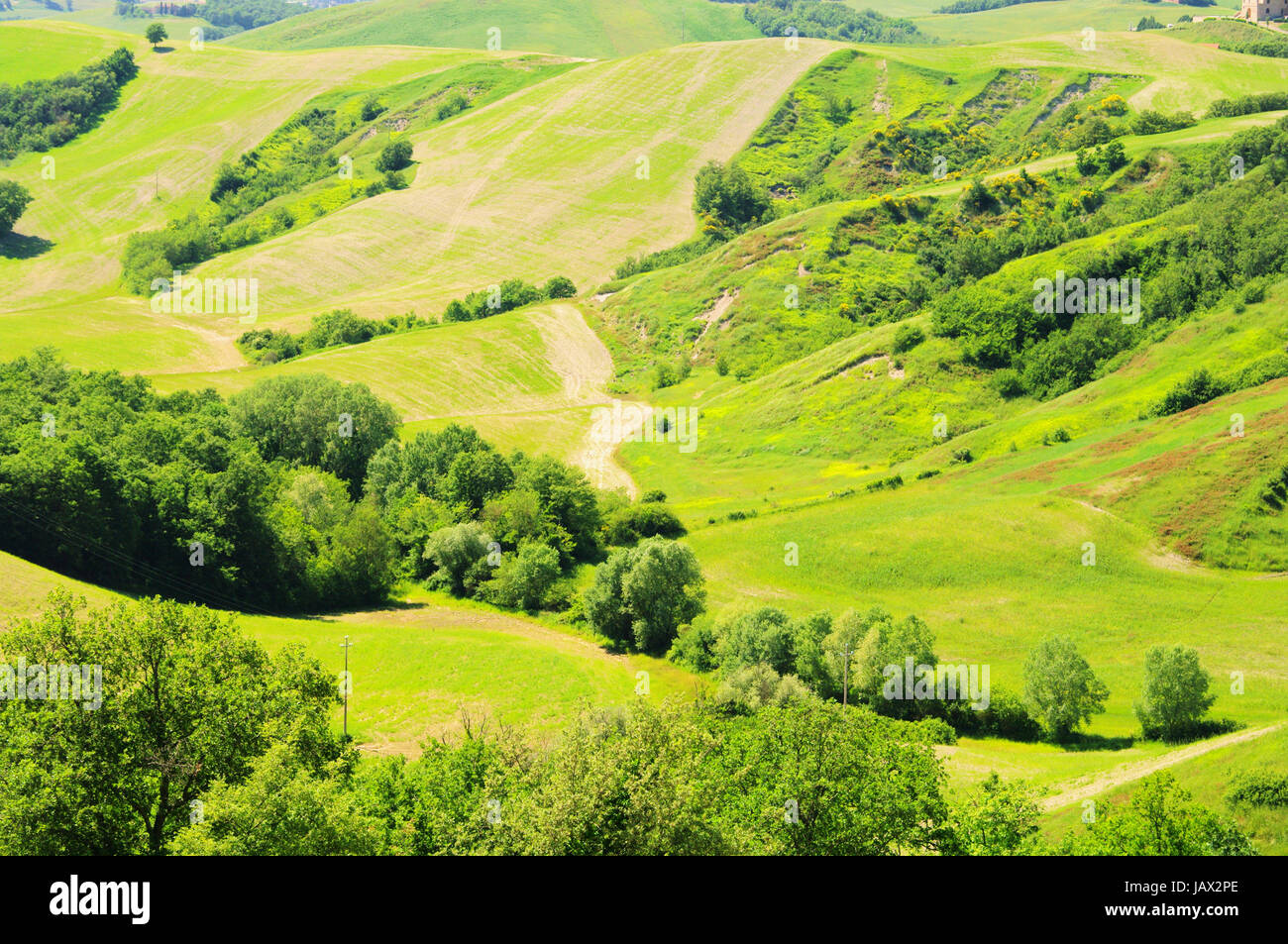 Crete Senesi, Accona High Resolution Stock Photography and Images - Alamy