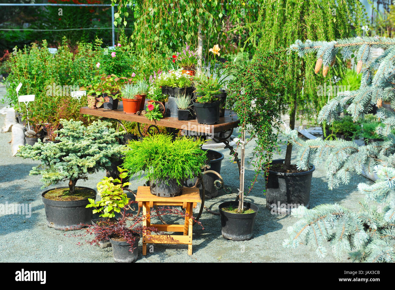 Beautiful house yard different hi-res stock photography and images - Alamy