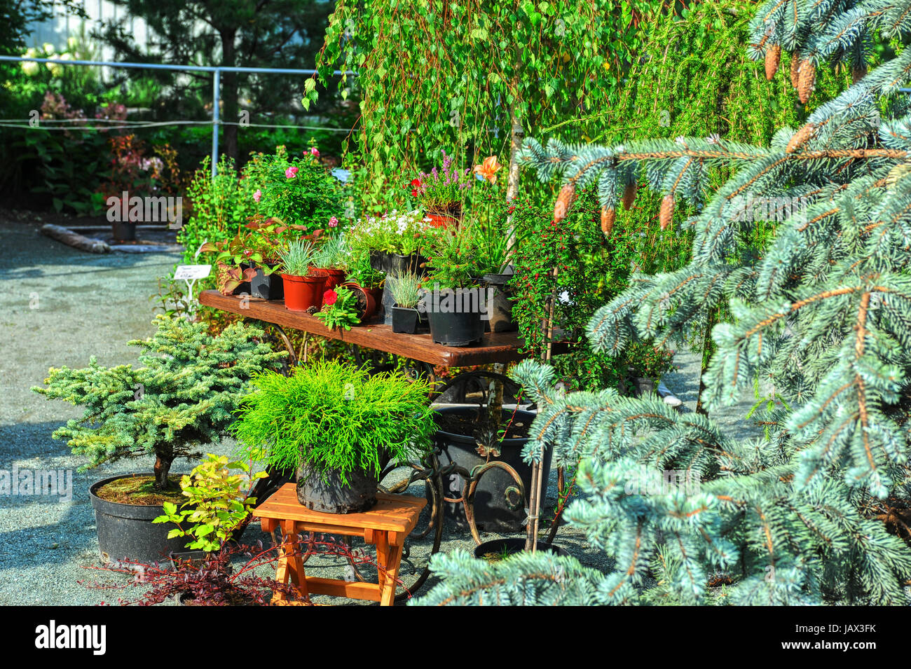 Beautiful front yard different hi-res stock photography and images - Alamy