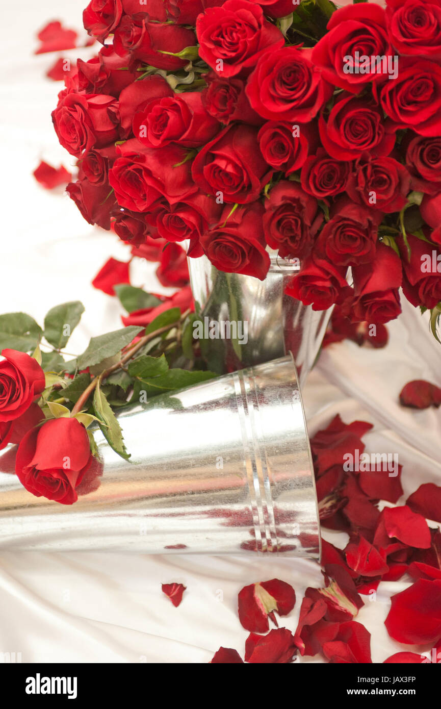 bouquet of natural roses background Stock Photo - Alamy