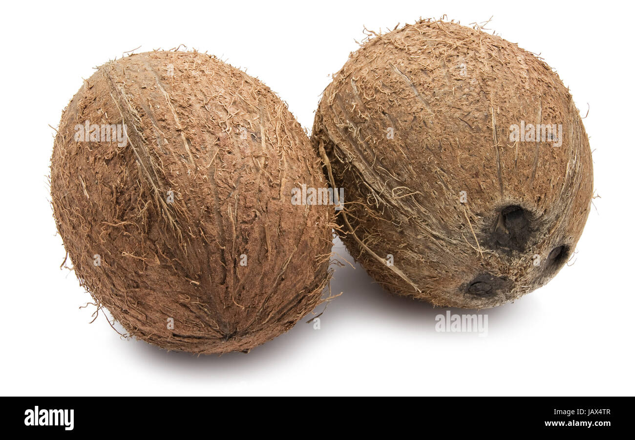 Perfect fresh coconut isolated on white background Stock Photo - Alamy