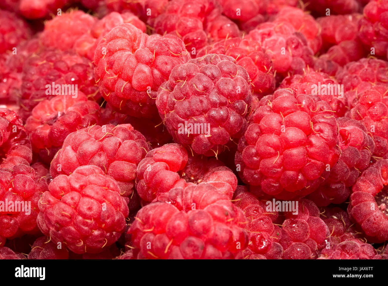 Many fresh red raspberries making beautiful background Stock Photo - Alamy