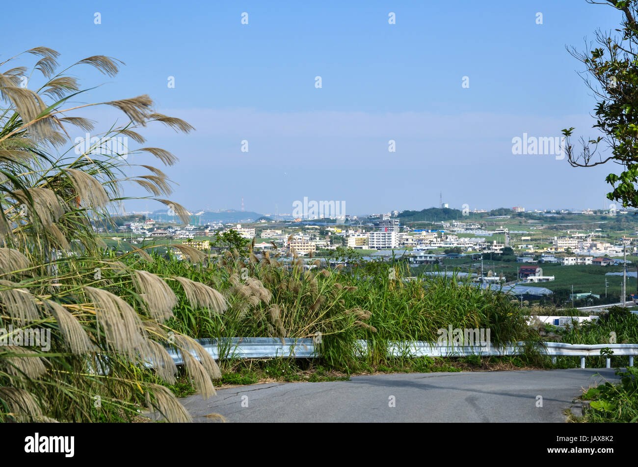 View over an Okinawan landscape in Japan Stock Photo - Alamy