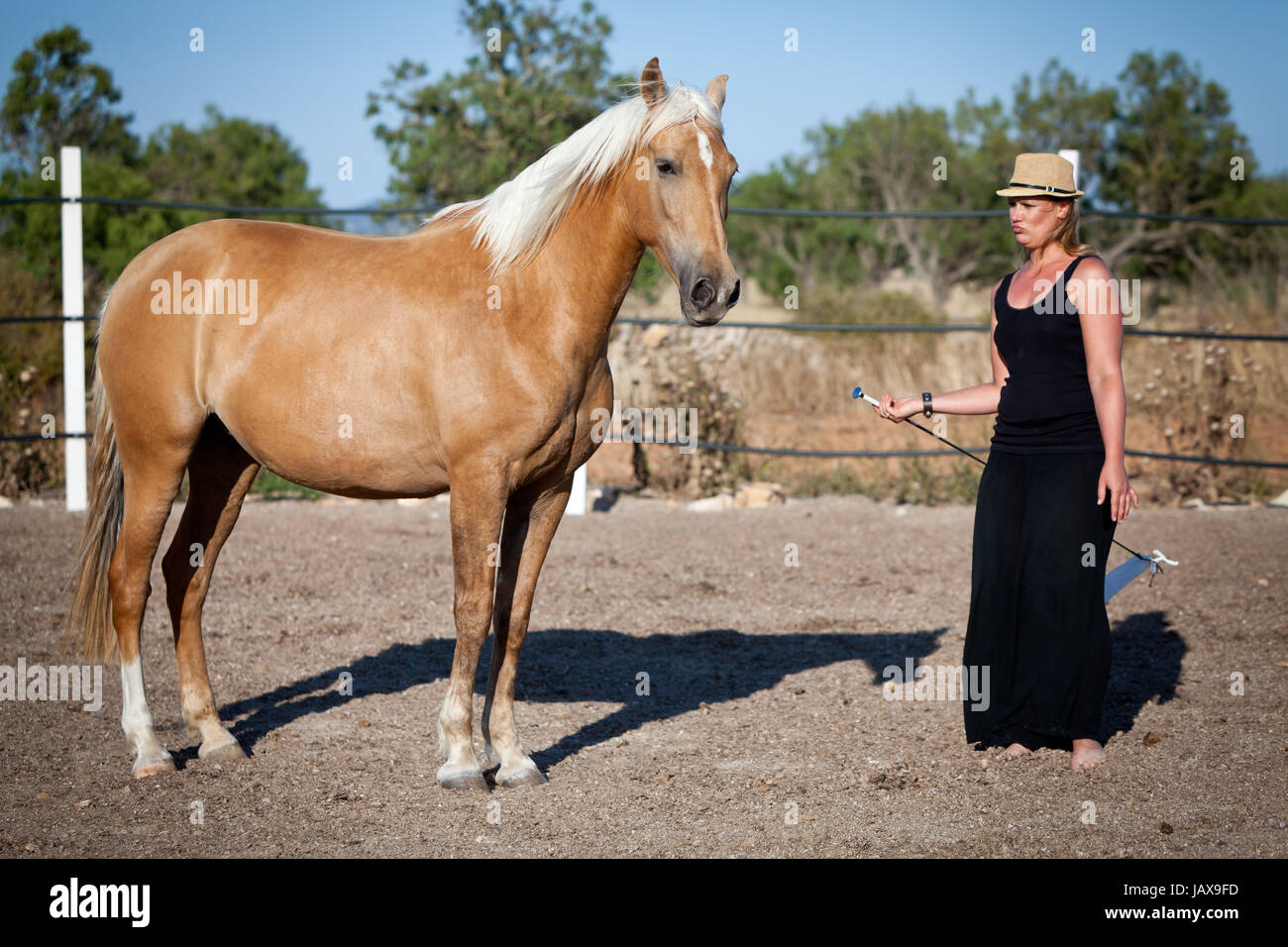 junge weibliche reiterin trainiert ihr pferd im freien im sommer ...
