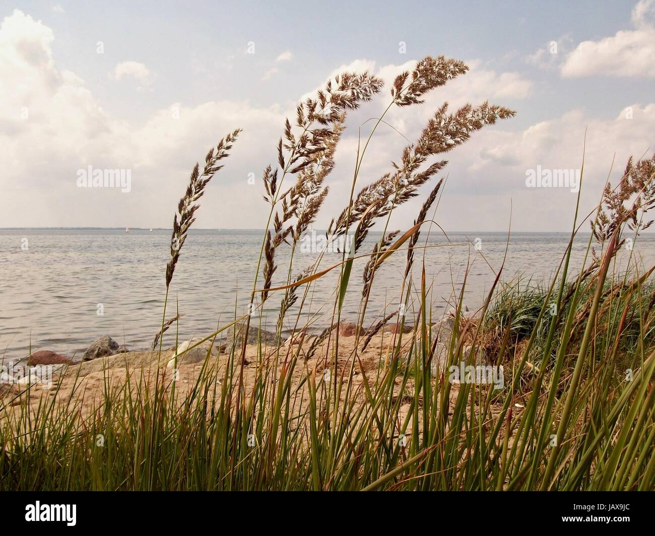 Naturism beach hi-res stock photography and images - Alamy