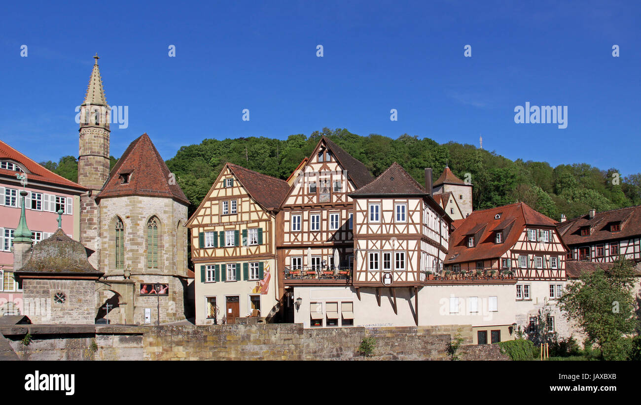 Quiver High Resolution Stock Photography and Images - Alamy