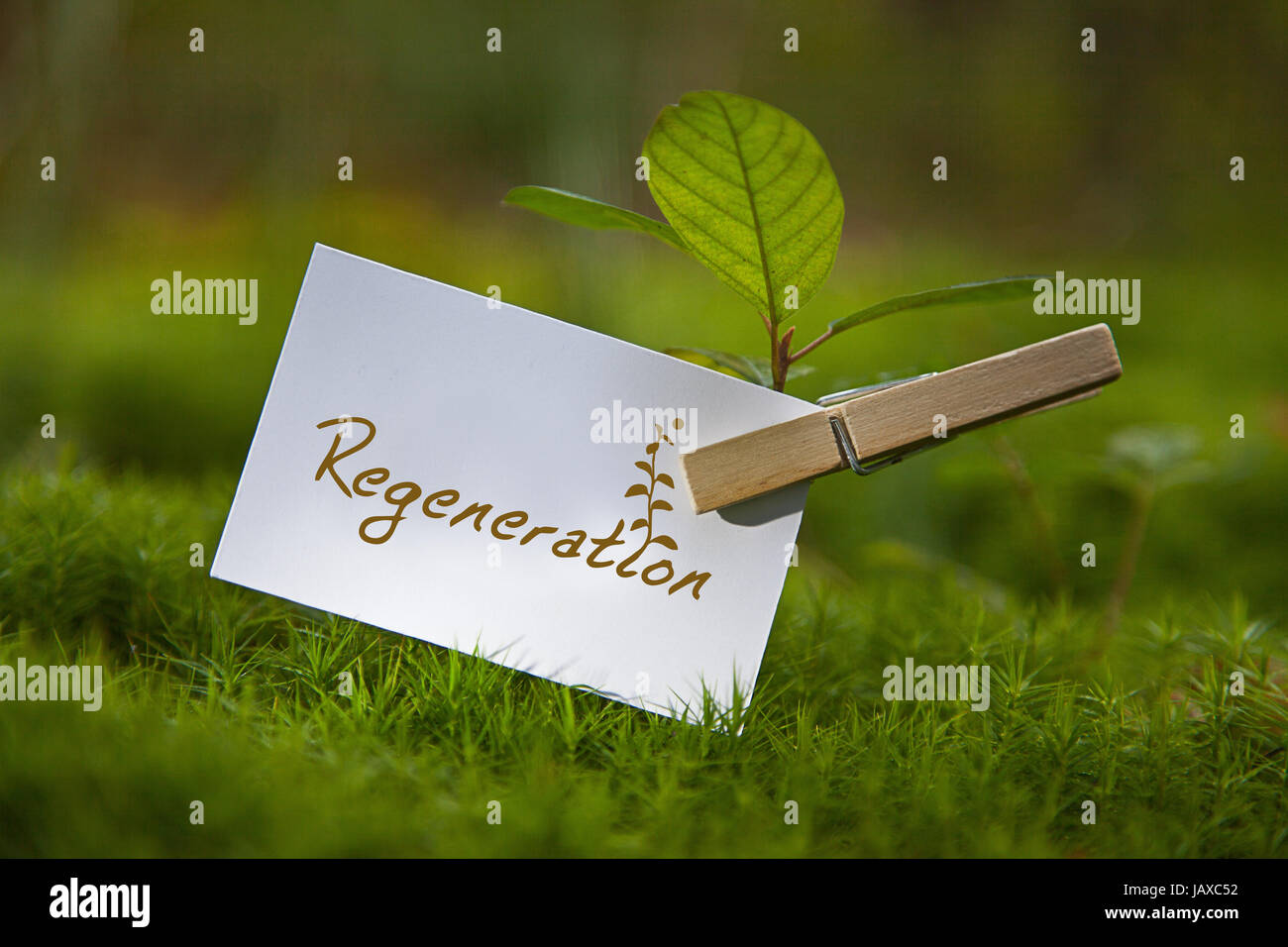 Rgeneration hi-res stock photography and images - Alamy