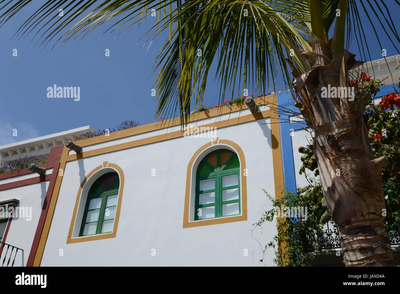 palm tree place Stock Photo - Alamy