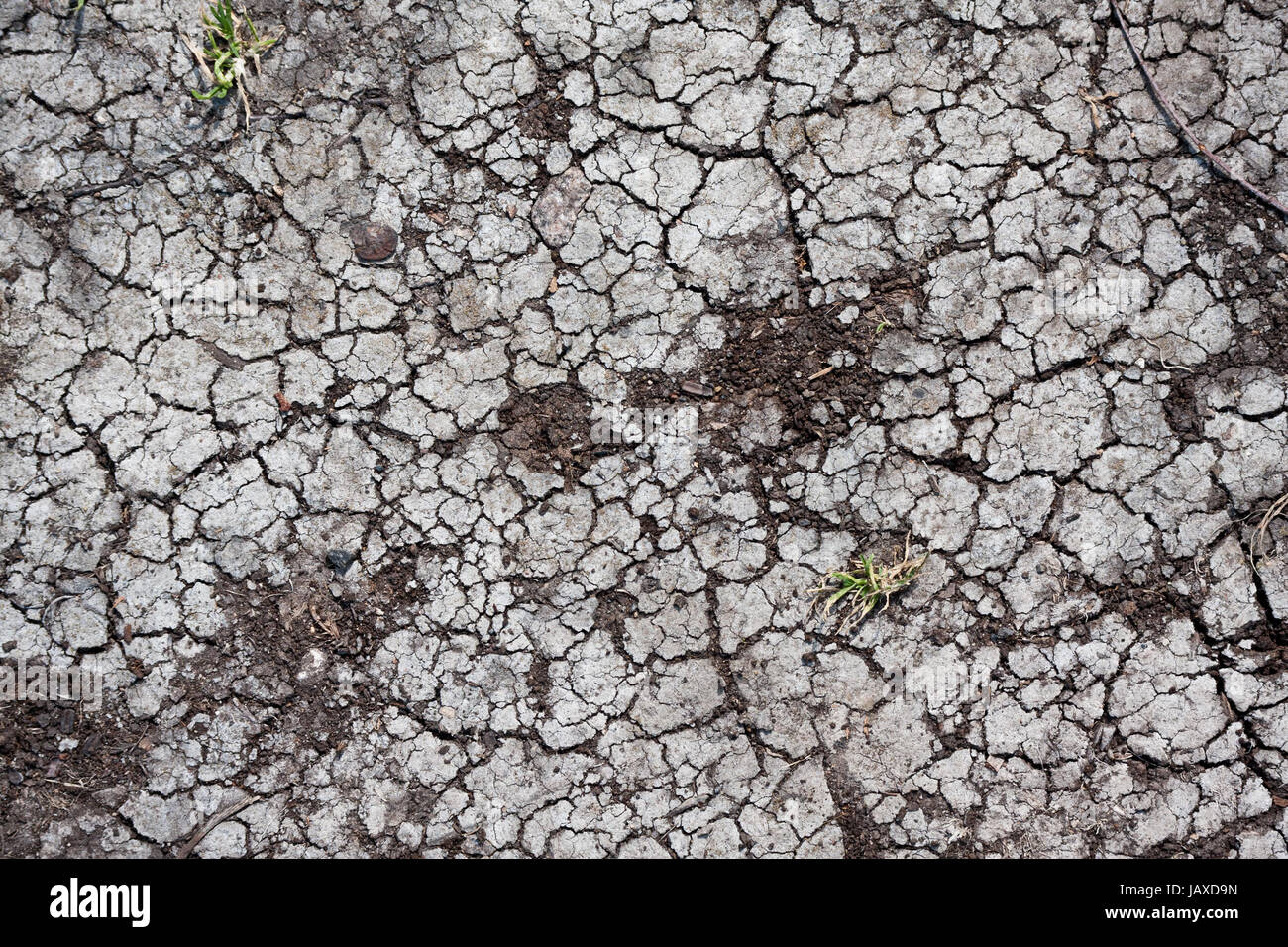 Land with dry cracked ground texture background Stock Photo - Alamy