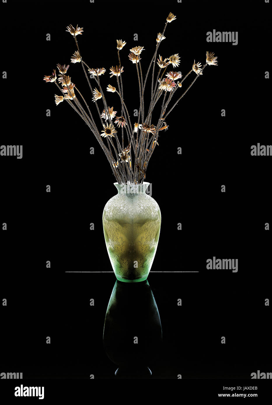 vase still life Stock Photo - Alamy