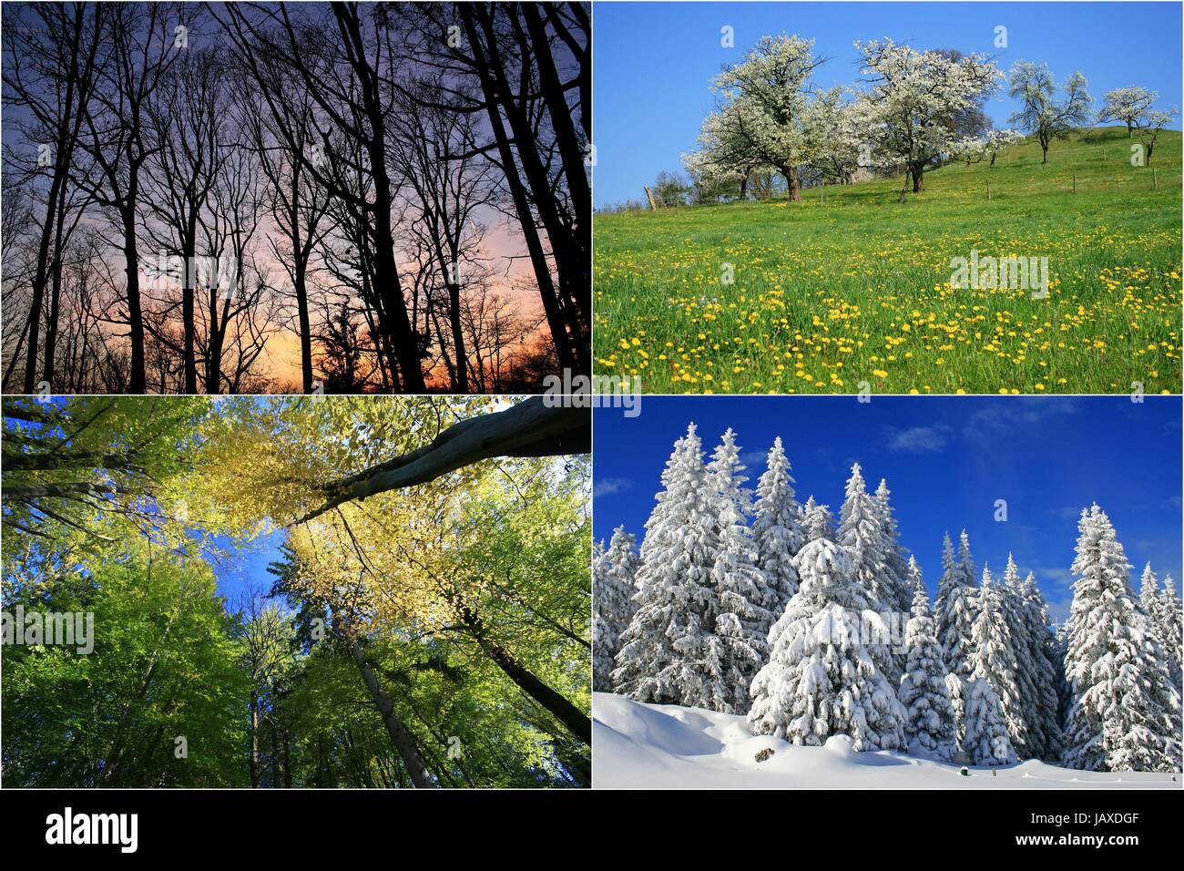 Vicissitude of seasons hi-res stock photography and images - Alamy