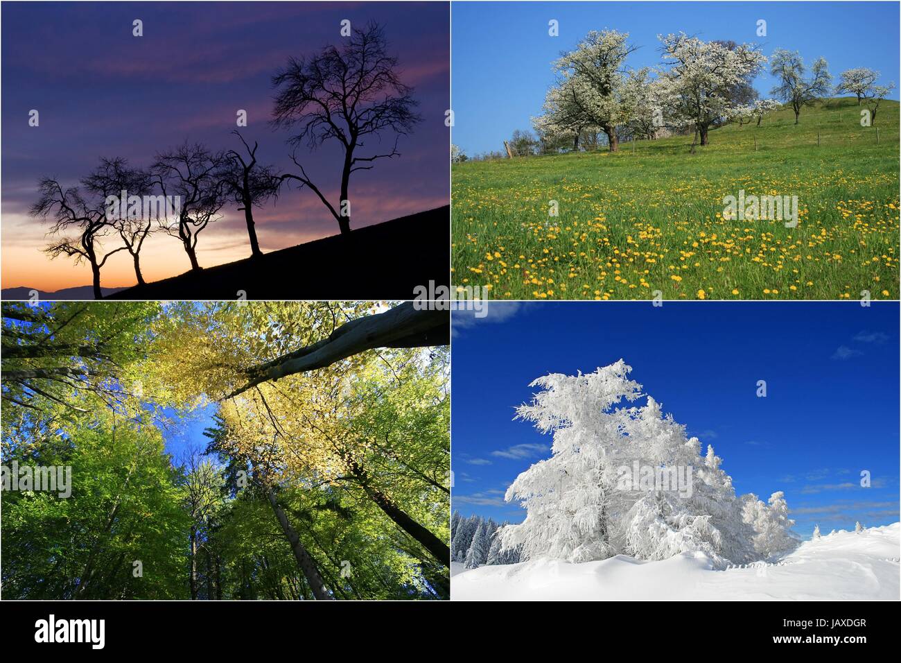 Summer winter comparison hi-res stock photography and images - Alamy