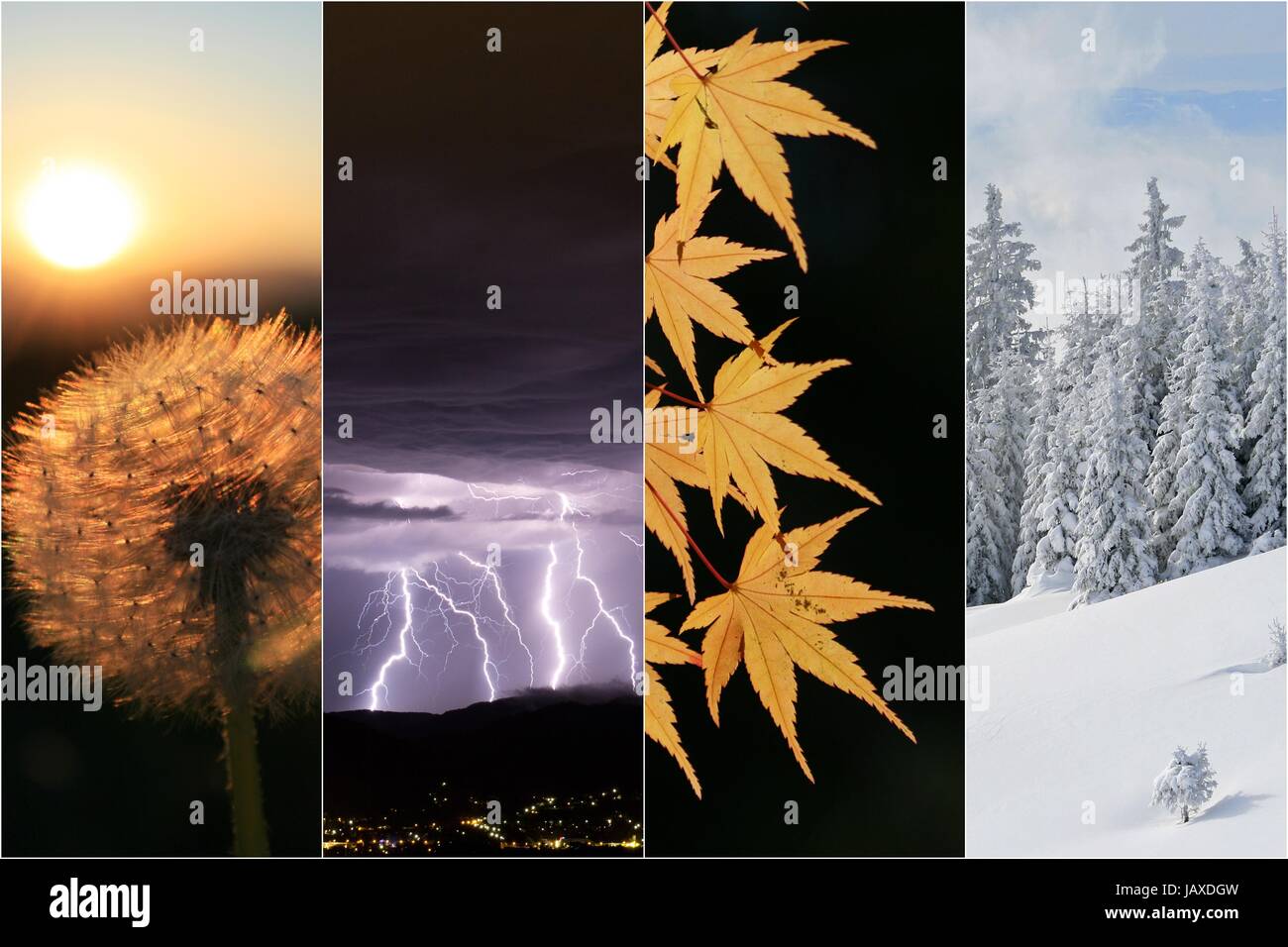 Summer winter comparison hi-res stock photography and images - Alamy