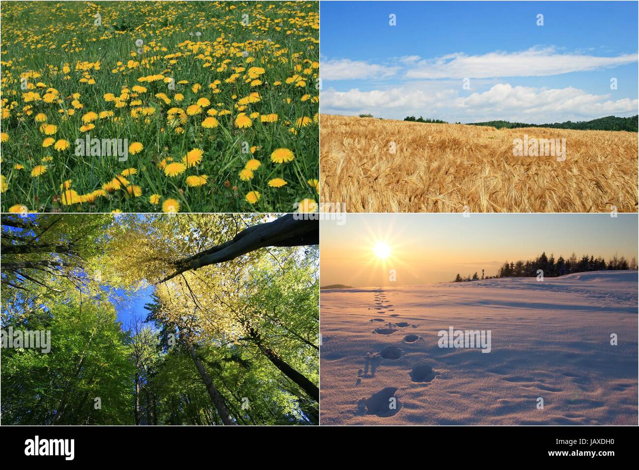 Summer winter comparison hi-res stock photography and images - Alamy
