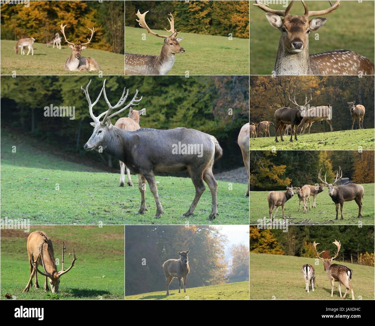 spare time free time Stock Photo - Alamy