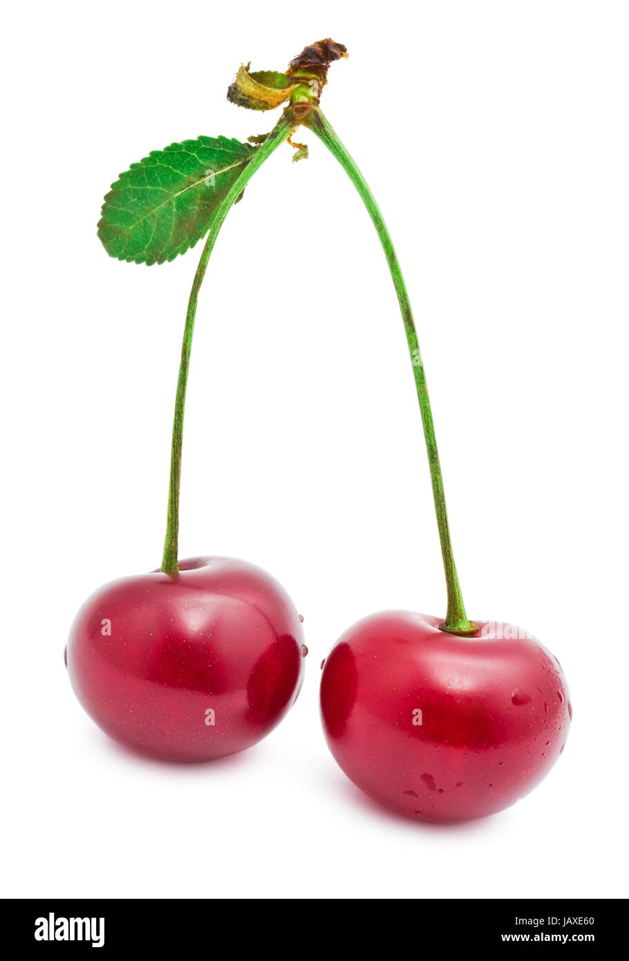 Beautiful red cherry isolated on white background Stock Photo - Alamy
