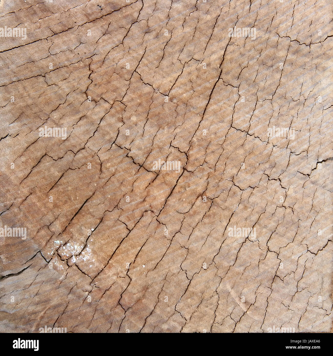 Crack of Wood Texture Stock Photo - Alamy