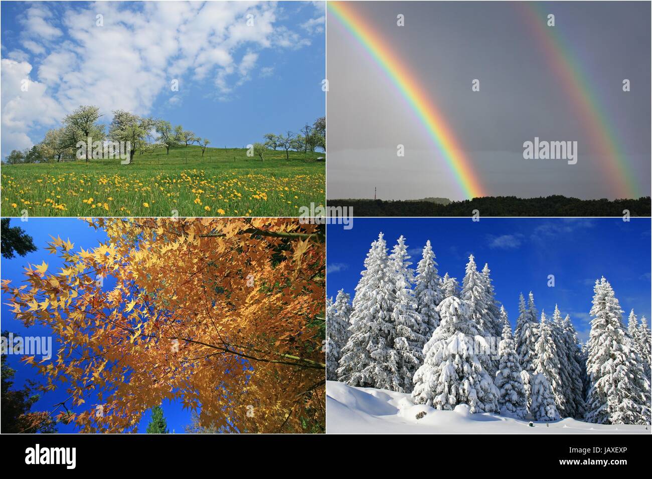 Circle four seasons hi-res stock photography and images - Alamy