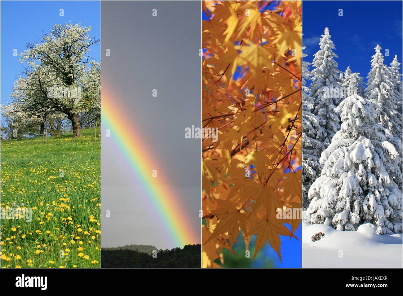 Circle four seasons hi-res stock photography and images - Alamy