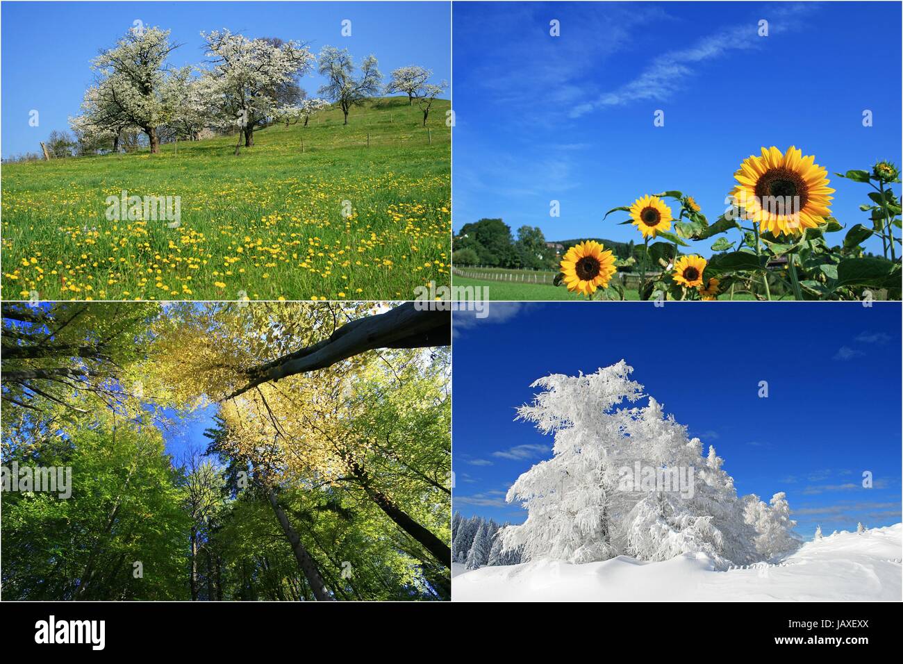 Vicissitude of seasons hi-res stock photography and images - Alamy