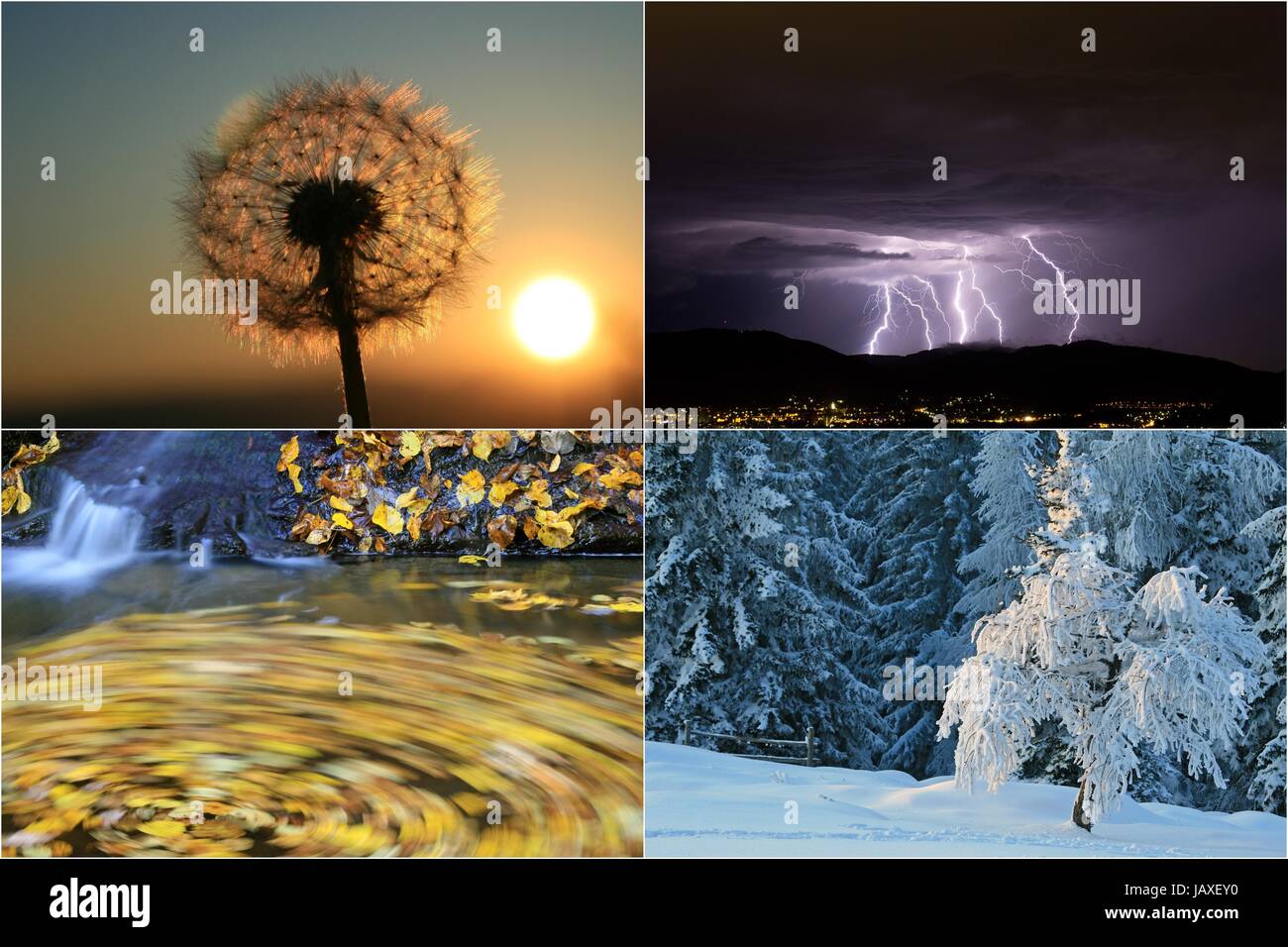 Circle four seasons hi-res stock photography and images - Alamy
