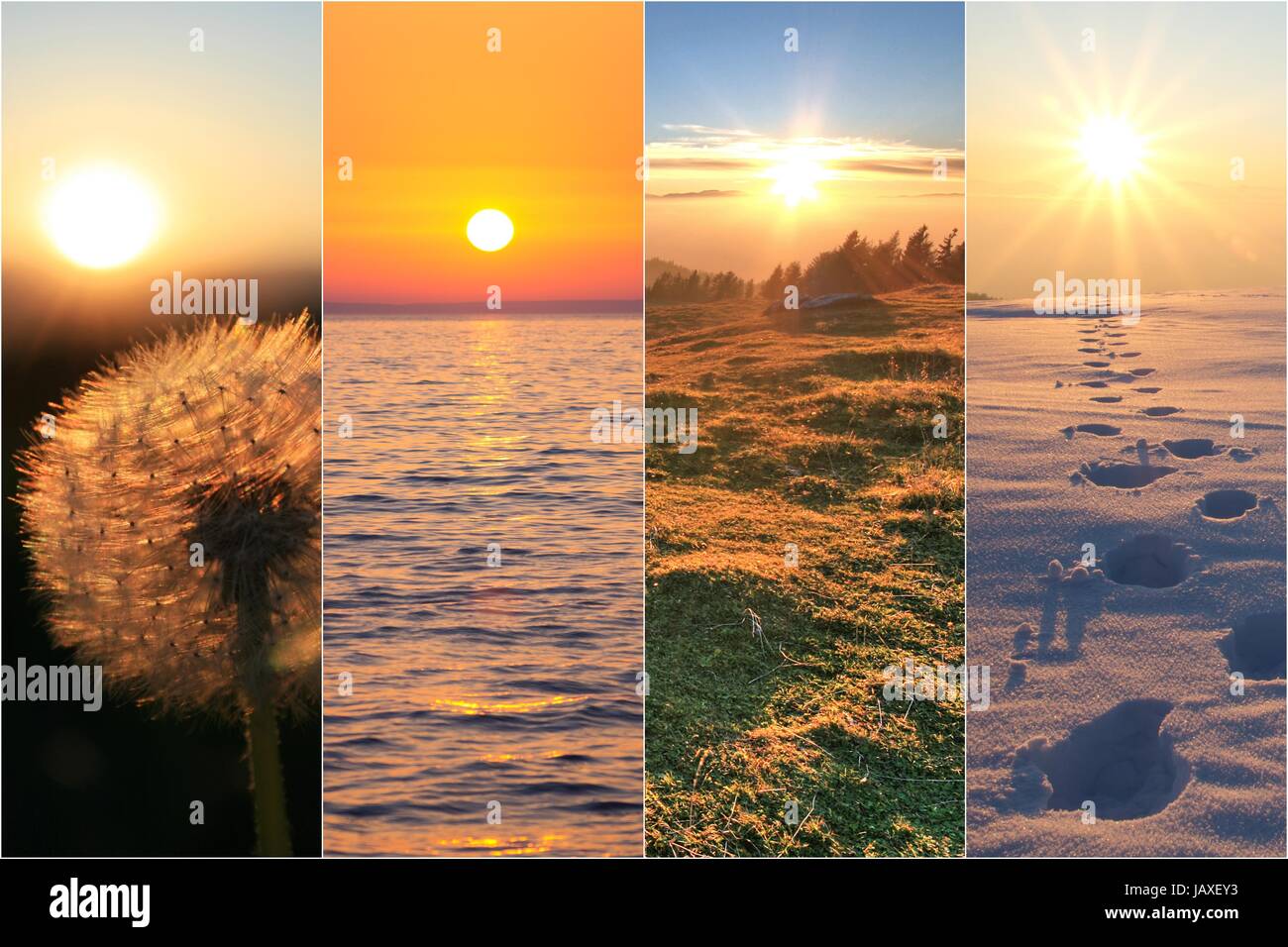 Circle four seasons hi-res stock photography and images - Alamy
